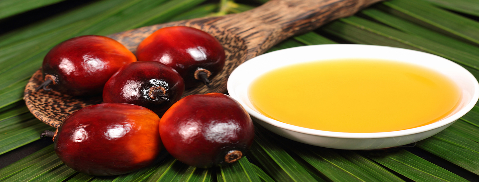 Permata Hijau Group - Palm Oil Corporation